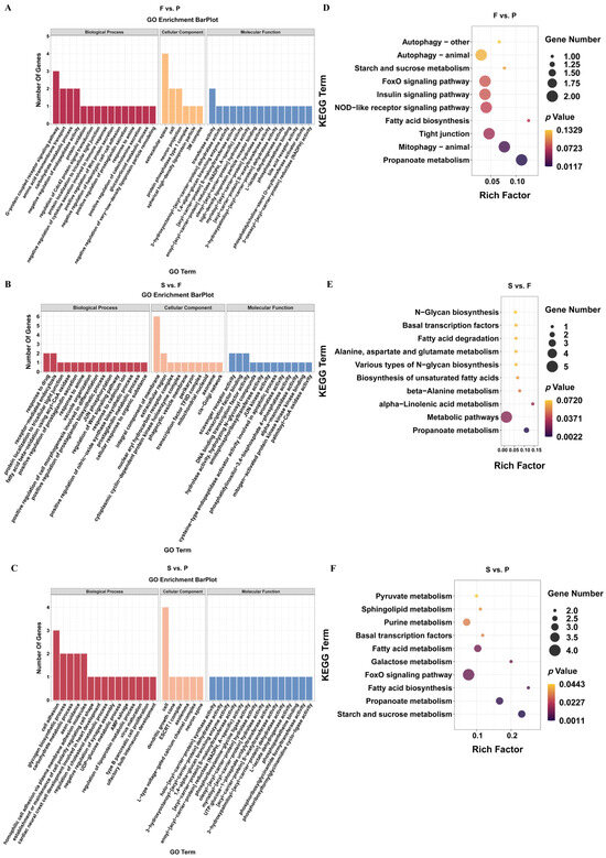 Molecular Mechanisms of circRNA–miRNA–mRNA Interactions in the ...