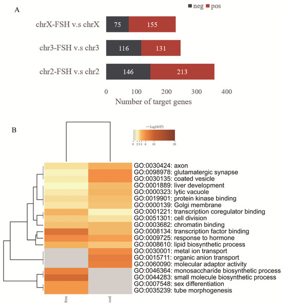 Massively Parallel CRISPR-Cas9 Knockout Screening in Sheep Granulosa ...