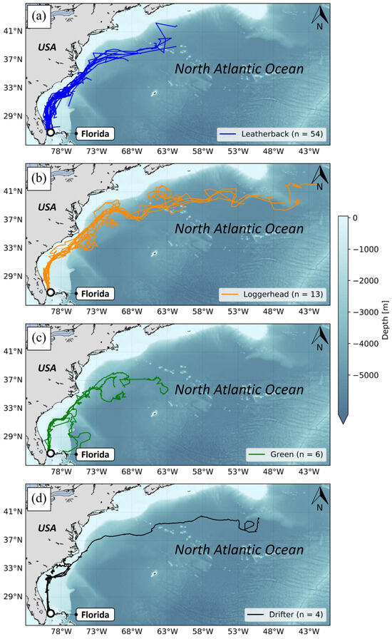 Novel Microsatellite Tags Hold Promise for Illuminating the Lost Years ...