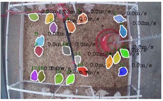 Deep Learning Methods for Tracking the Locomotion of Individual Chickens
