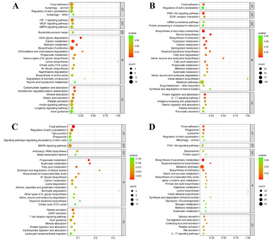 Animals | Free Full-Text | Morphological and Transcriptomic Analyses ...
