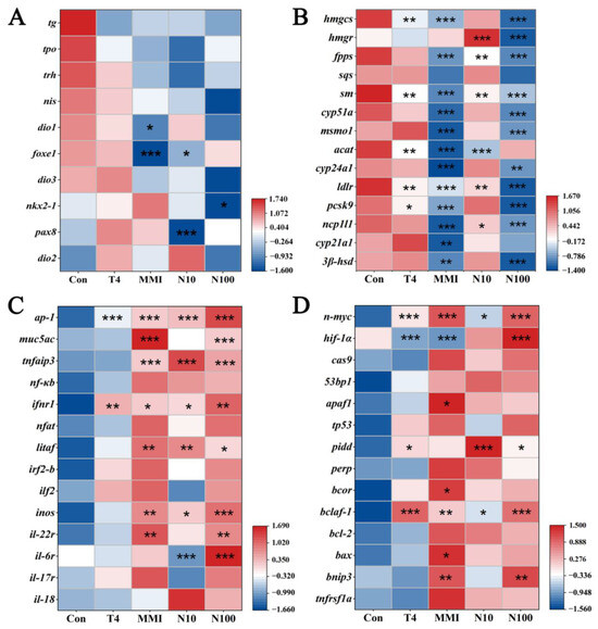 Animals | Free Full-Text | Morphological and Transcriptomic Analyses ...