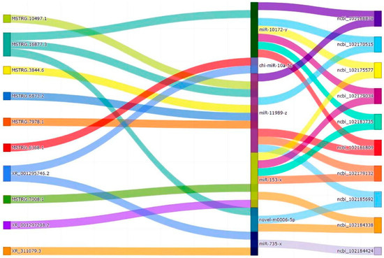 Characterization and Comparative Analysis of Whole-Transcriptome ...