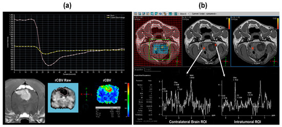 An Illustrated Scoping Review of the Magnetic Resonance Imaging ...