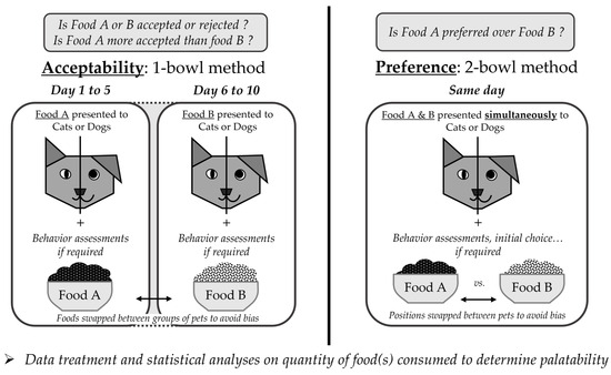 Insights to Study, Understand and Manage Extruded Dry Pet Food Palatability