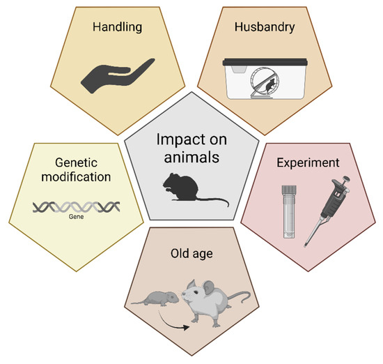 What Can Laboratory Animal Facility Managers Do to Improve the Welfare ...