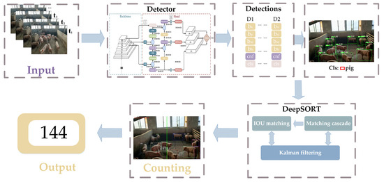 Research on Dynamic Pig Counting Method Based on Improved YOLOv7 Combined with DeepSORT