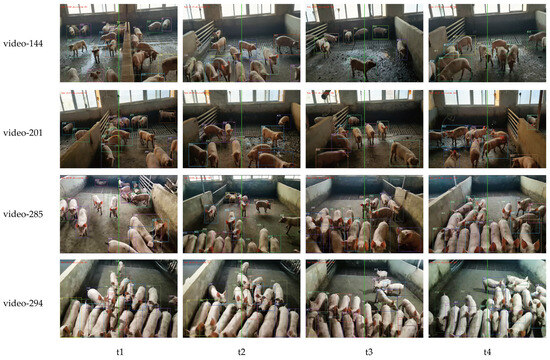 Research on Dynamic Pig Counting Method Based on Improved YOLOv7 Combined with DeepSORT