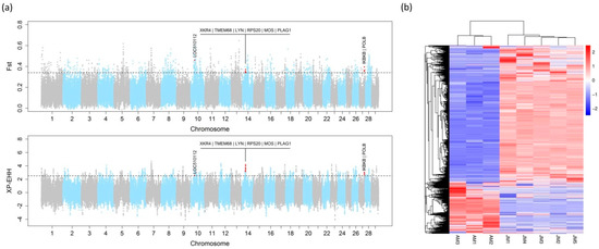 POLB Regulates Proliferation and Apoptosis of Bovine Primary Myocytes