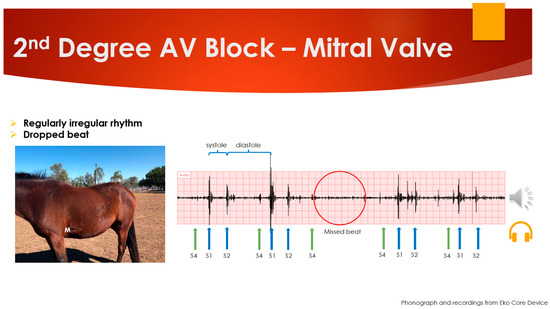 Assessment of a Teaching Module for Cardiac Auscultation of Horses by ...
