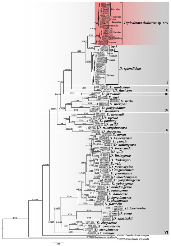 A New Species of Diploderma (Squamata, Agamidae) from the Valley of ...