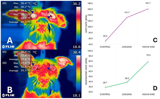 Use of Infrared Thermography and Heart Rate Variability to Evaluate ...