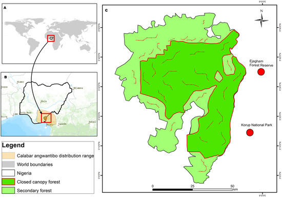 Population Abundance and Density Estimates of Poorly Documented Near ...