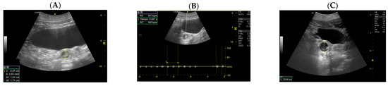 Preliminary Ultrasonographic Study of Healthy California Sea Lion ...