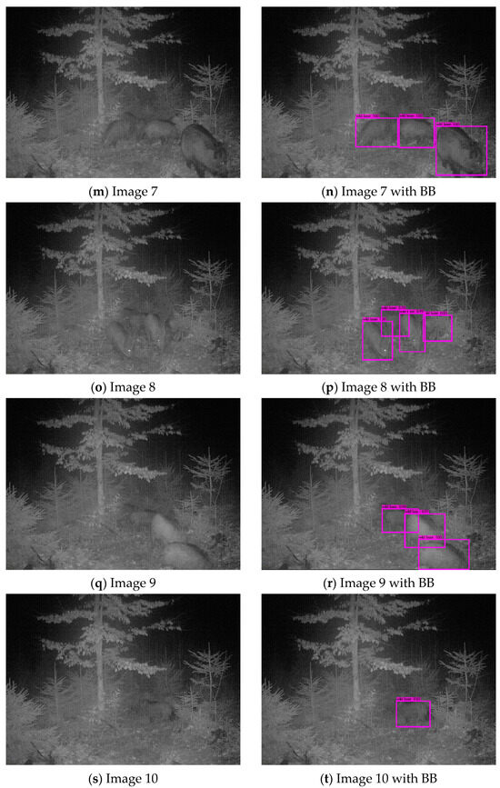 Automated Detection and Counting of Wild Boar in Camera Trap Images