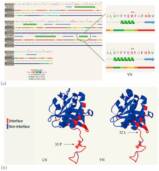 Adaptive Evolution of the Greater Horseshoe Bat AANAT: Insights into ...