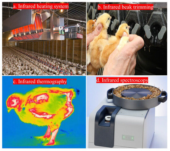 Beyond the Spectrum: Unleashing the Potential of Infrared Radiation in ...