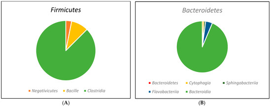 A Review of the Rumen Microbiota and the Different Molecular Techniques ...