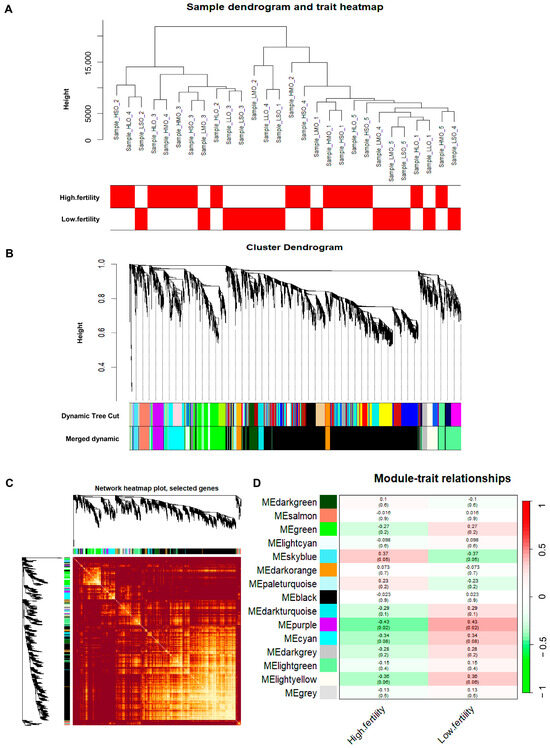 Animals | Free Full-Text | The Identification of RPL4 as a Hub Gene ...