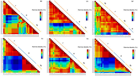 Animals | Free Full-Text | Analysis of Genetic Diversity and Population ...