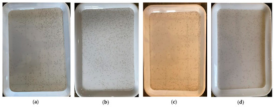 Animals | Free Full-Text | Deconvolution Enhancement Keypoint Network for Efficient Fish Fry ...