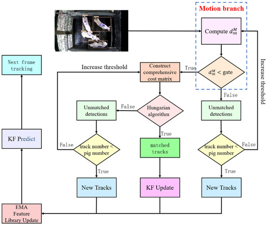 A Long-Term Video Tracking Method for Group-Housed Pigs