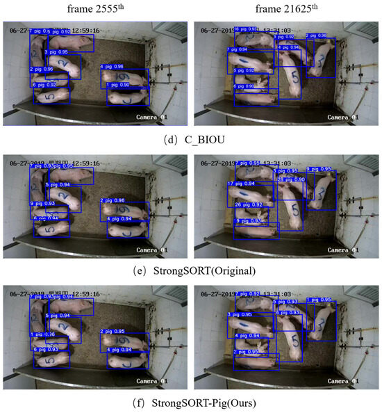 A Long-Term Video Tracking Method for Group-Housed Pigs