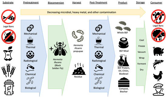 Mitigation Strategies against Food Safety Contaminant Transmission from ...