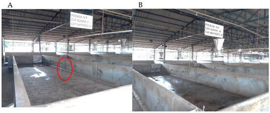 Implications of Lairage and Environmental Enrichment on Behavioral ...