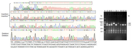 The Detection of a Functional 168 bp Deletion of the HOXB13 Gene ...