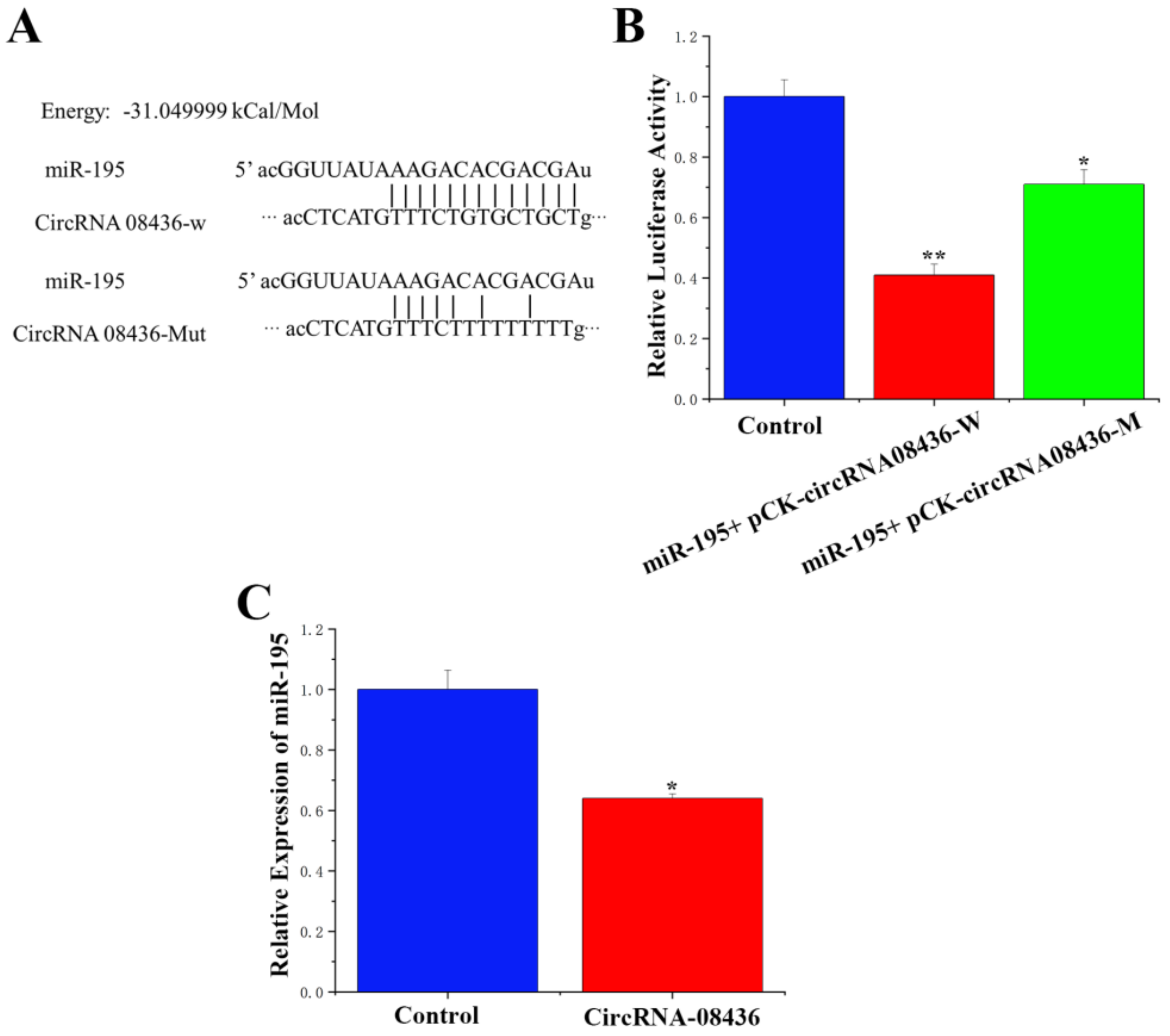 Animals | Free Full-Text | m6A Methylation Mediates the Function of the ...