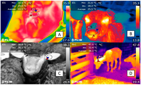 Hypothalamic Neuromodulation and Control of the Dermal Surface ...