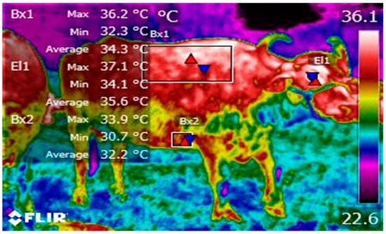 Hypothalamic Neuromodulation and Control of the Dermal Surface ...