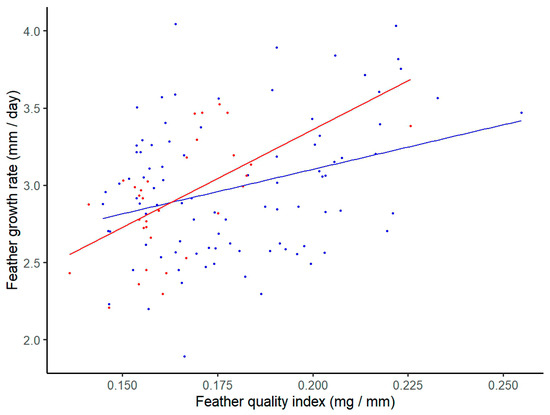 The Impact of Avian Haemosporidian Infection on Feather Quality and ...