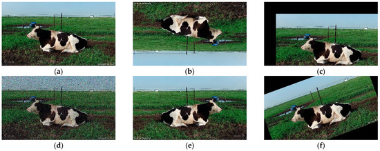 Monitoring Cattle Ruminating Behavior Based on an Improved Keypoint Detection Model
