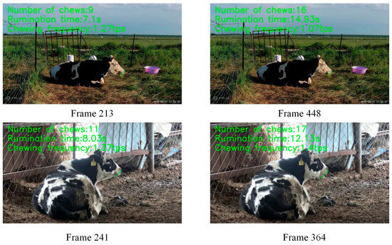 Monitoring Cattle Ruminating Behavior Based on an Improved Keypoint ...