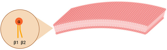 Lipids in Equine Airway Inflammation: An Overview of Current Knowledge