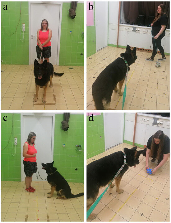 Towards an Objective Measurement Tool for ADHD-like Traits in Family ...