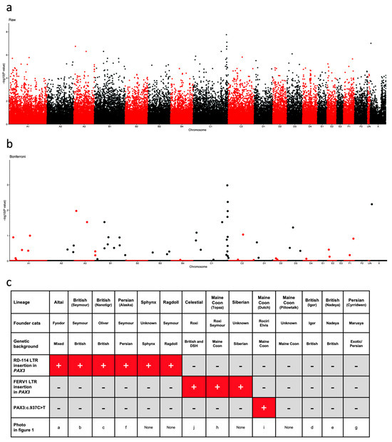 Different Founding Effects Underlie Dominant Blue Eyes (DBE) in the ...