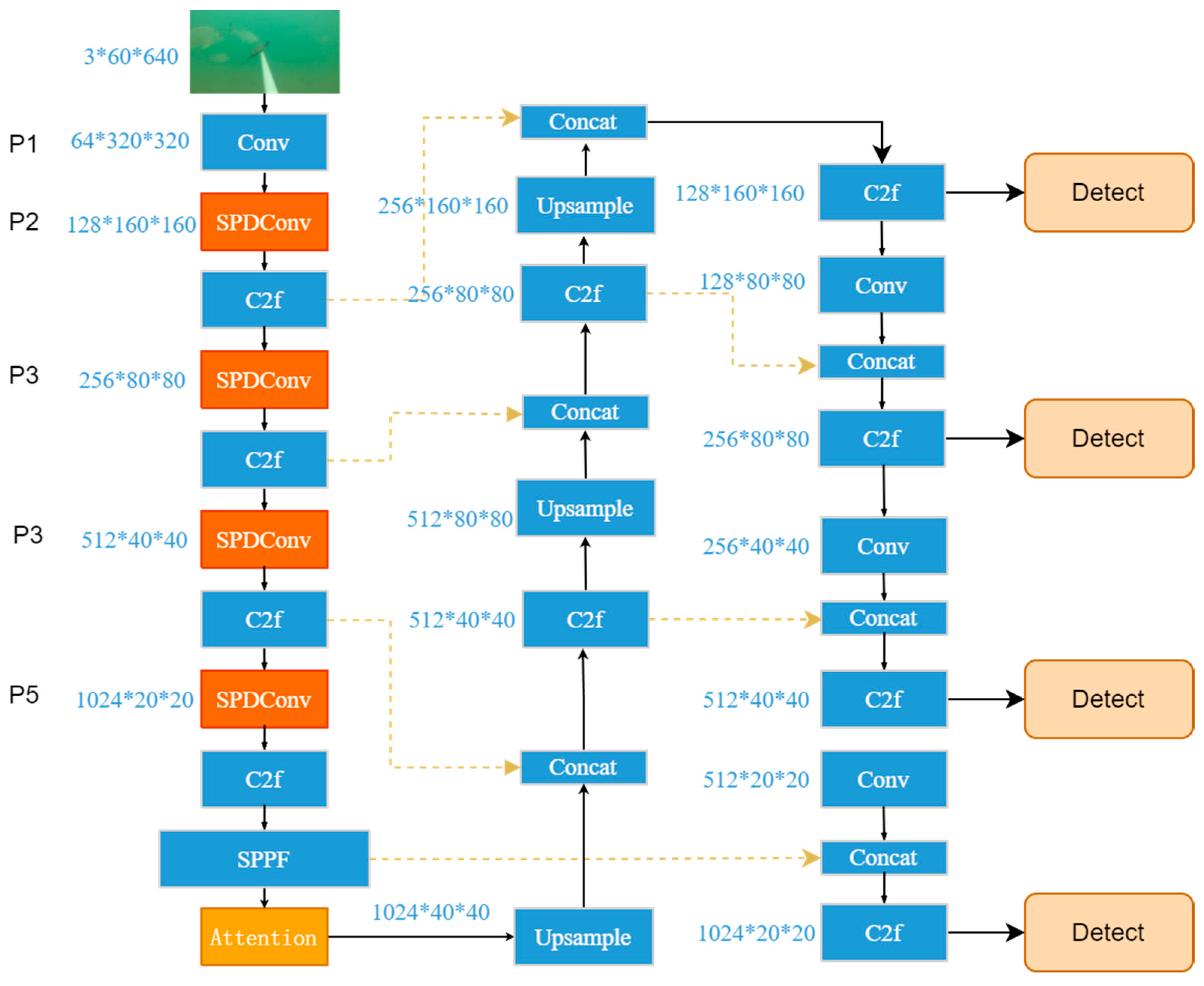 An Improved YOLOv8n Used for Fish Detection in Natural Water Environments