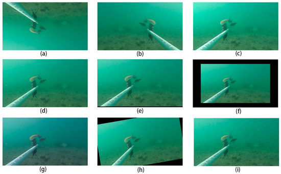 An Improved YOLOv8n Used for Fish Detection in Natural Water Environments
