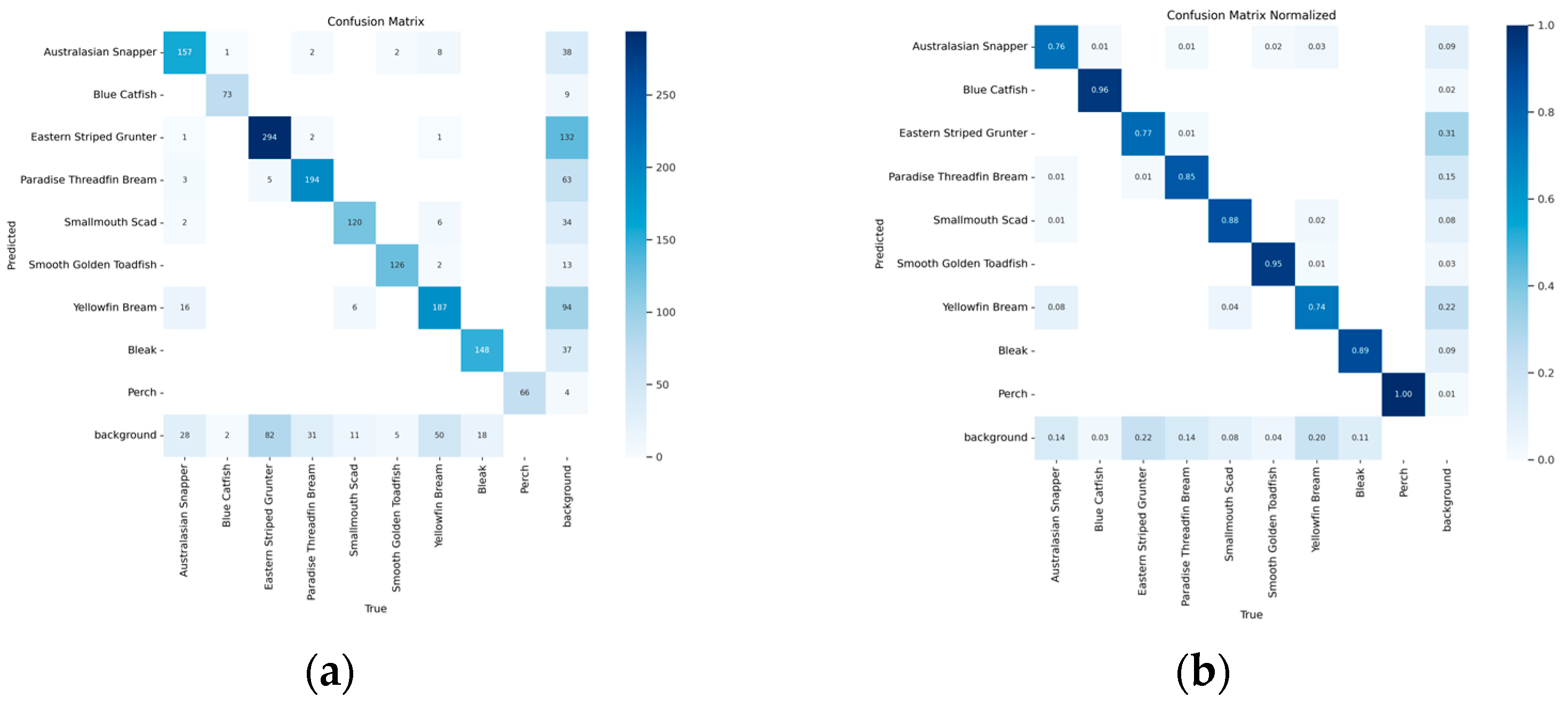 An Improved YOLOv8n Used for Fish Detection in Natural Water Environments