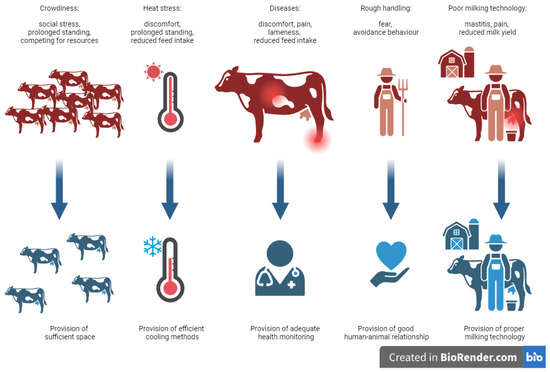 A Review of the Effects of Stress on Dairy Cattle Behaviour