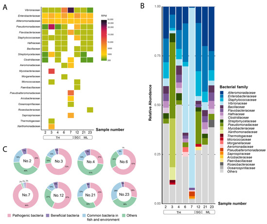 Genome Characterization and Phylogenetic Analysis of Scale Drop Disease ...