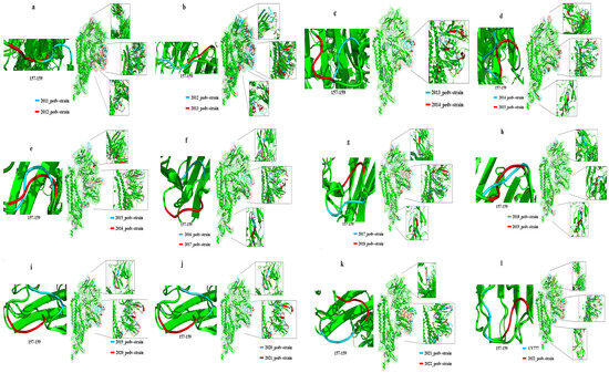 Investigation of Transmission and Evolution of PEDV Variants and Co ...