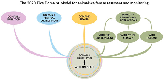 Introducing the Mellorater—The Five Domains Model in a Welfare Monitoring App for Animal Guardians