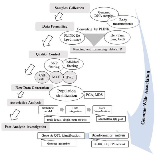 Genome-Wide Association Study as an Efficacious Approach to Discover ...