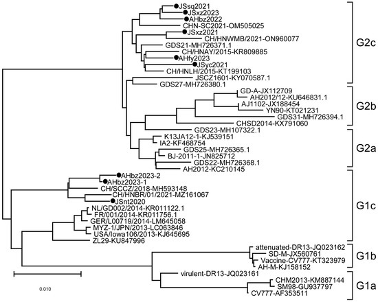 Animals | Free Full-Text | Phylogenetic and Genetic Variation Analysis ...