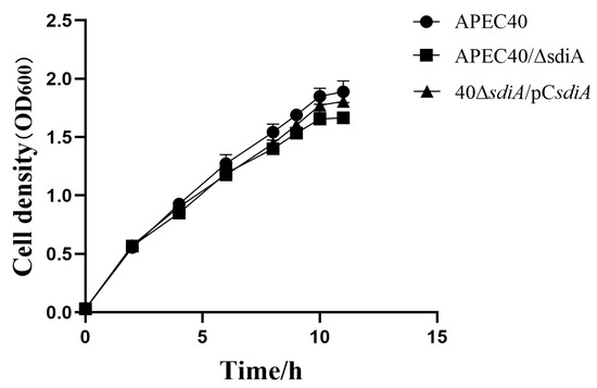 Potential Role of SdiA in Biofilm Formation and Drug Resistance in ...