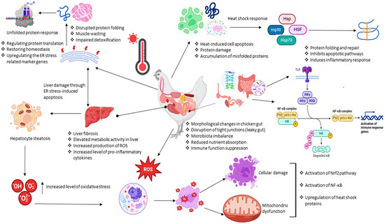 Exploring Evolutionary Adaptations and Genomic Advancements to Improve ...